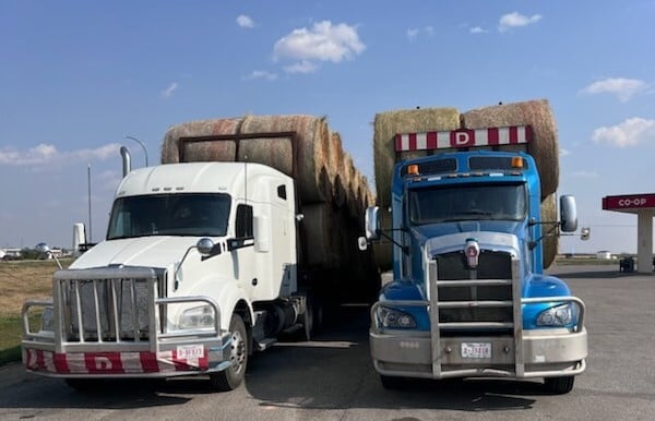 Alberta Hay and Feed Directory